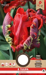 Tulip bulbs for Sale! - Buy cheap tulip bulbs online!