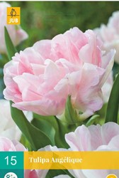 Tulip bulbs for Sale! - Buy cheap tulip bulbs online!